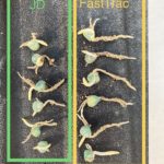 Fast Trac - Ag Focus, LLC